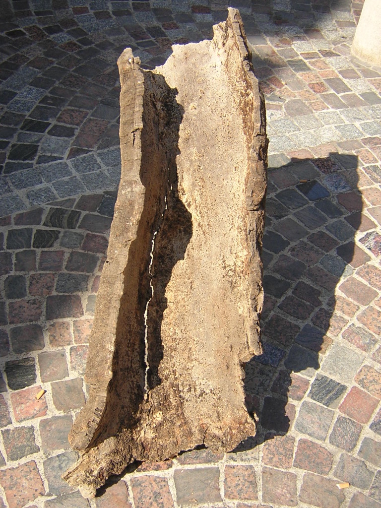 Natural Properties of Cork - SeaCorkSeaCork